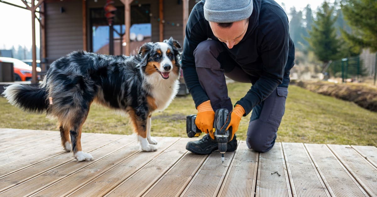 Pet-Friendly Decks: Best Materials and Designs for Dogs and Cats in ...
